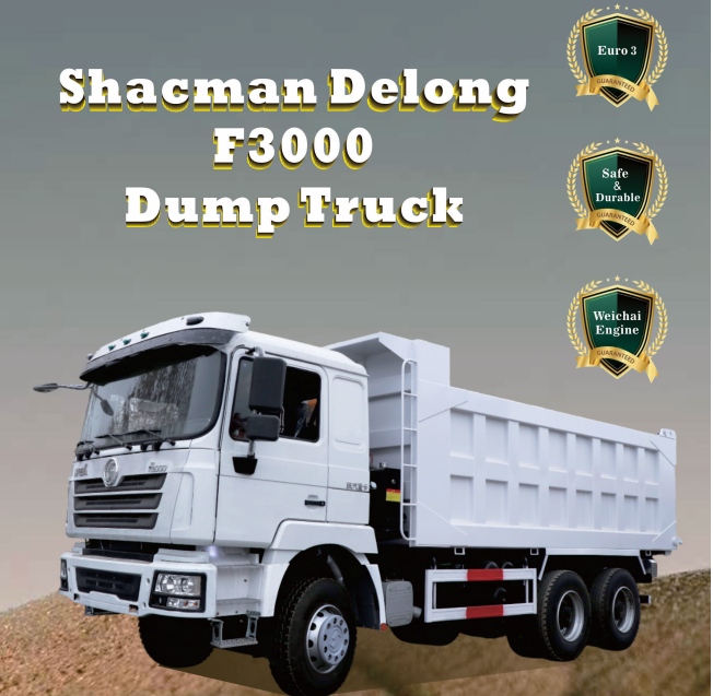 Highly Recommended Shacman Delong F3000 Dump Truck - Antautomobile